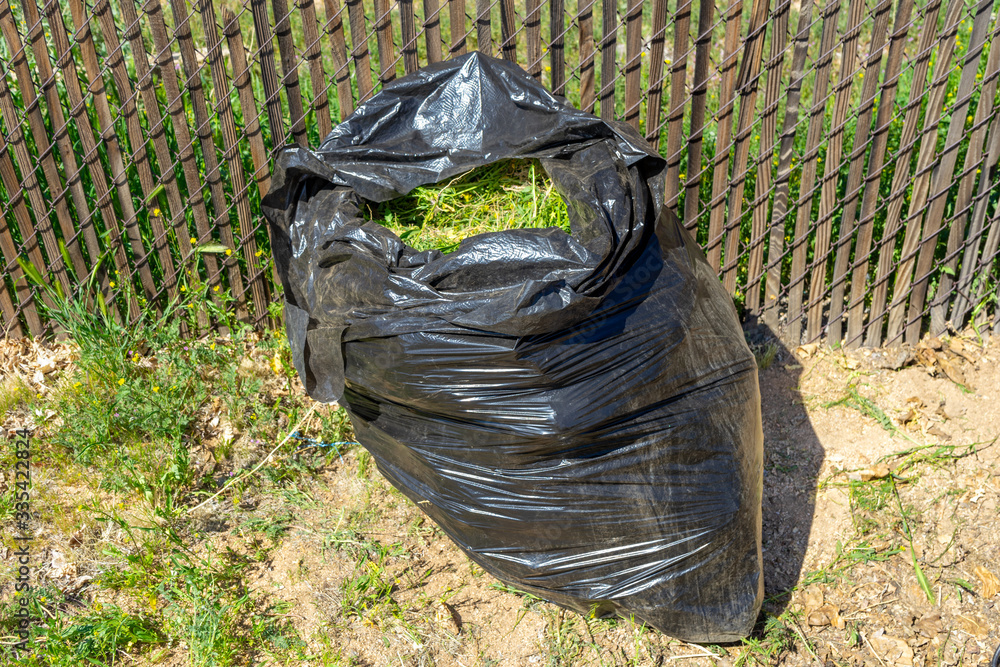 Black plastic trash bag filled with spring seasonal ground weeds. Stock ...