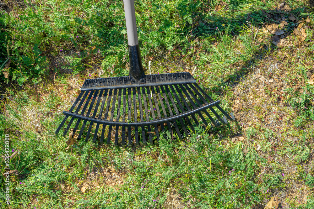 Black rake on a field with green garden weeds Stock Photo | Adobe Stock