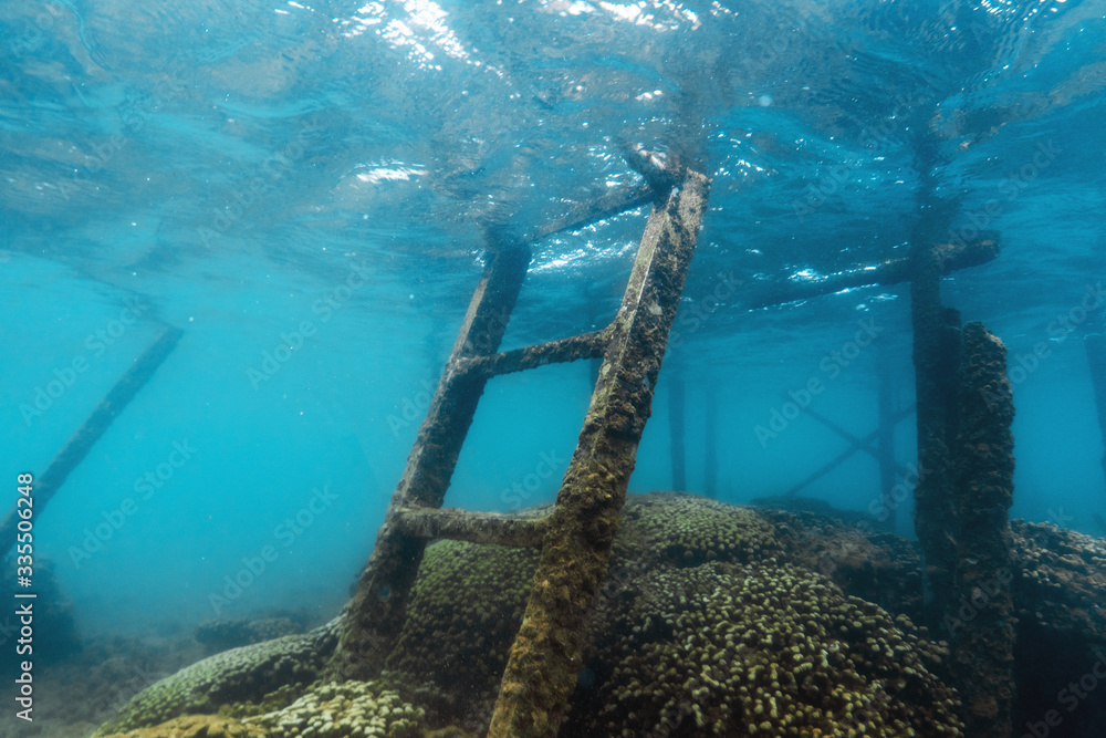 Ocean stairs into the water. Underwater scene of old stairs with shells ...