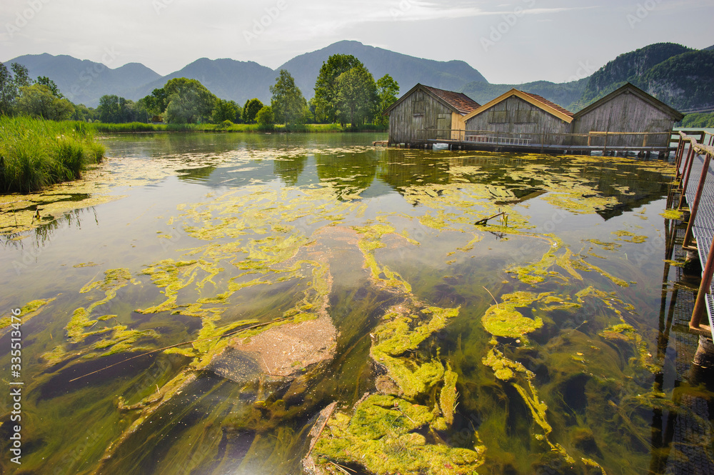 water pollution with fertilization and algae Stock Photo | Adobe Stock