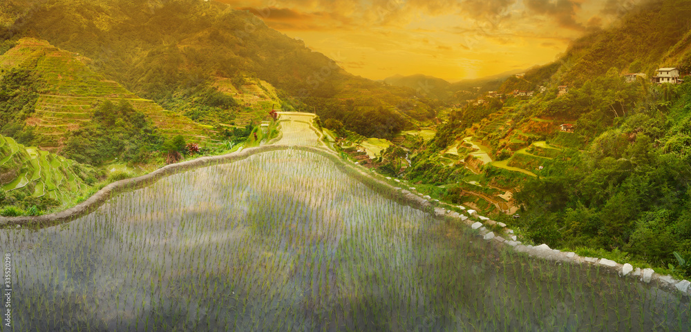 sunset in the rice field terraces in the area of banaue,in Philippines ...