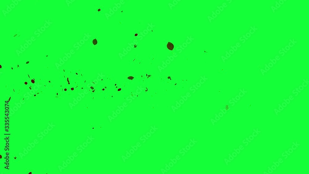 Green screen of dust and autumn leaves with storm wind. 4K storm wind ...