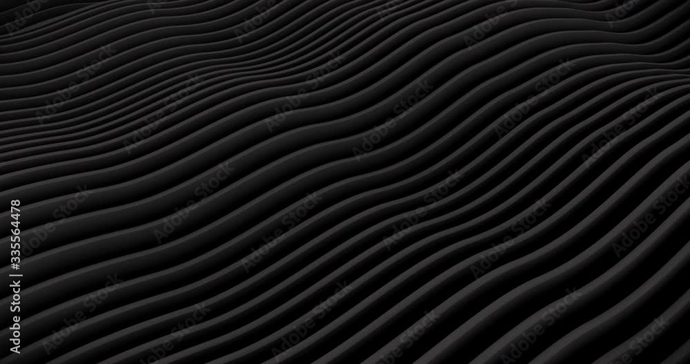 Abstract black curvy lines waving animation. Seamless loop animation in ...