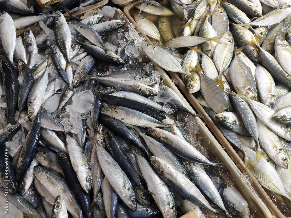 Various types of fish in the fish market are displayed for sale ...