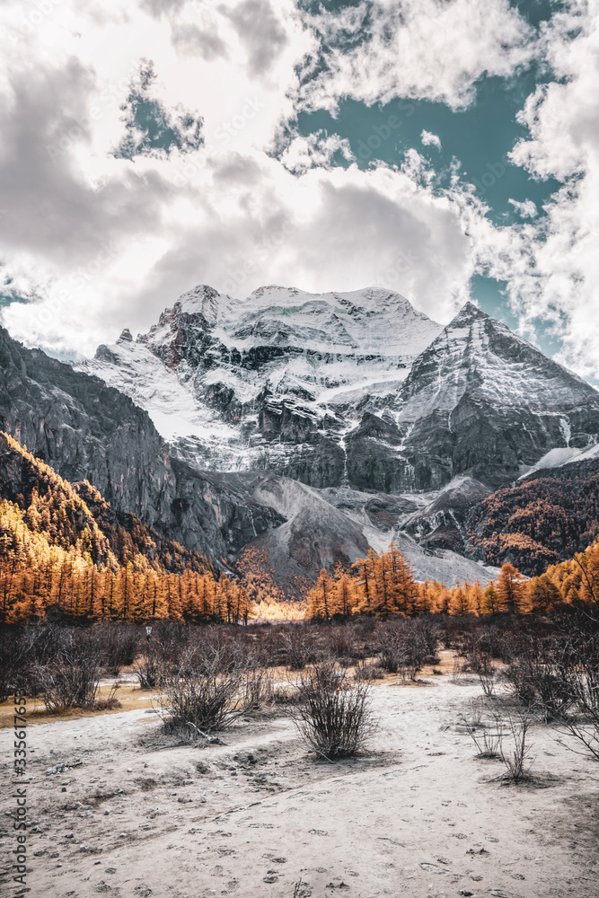 Nature landscape river in pine forest mountain valley,Snow Mountain in ...