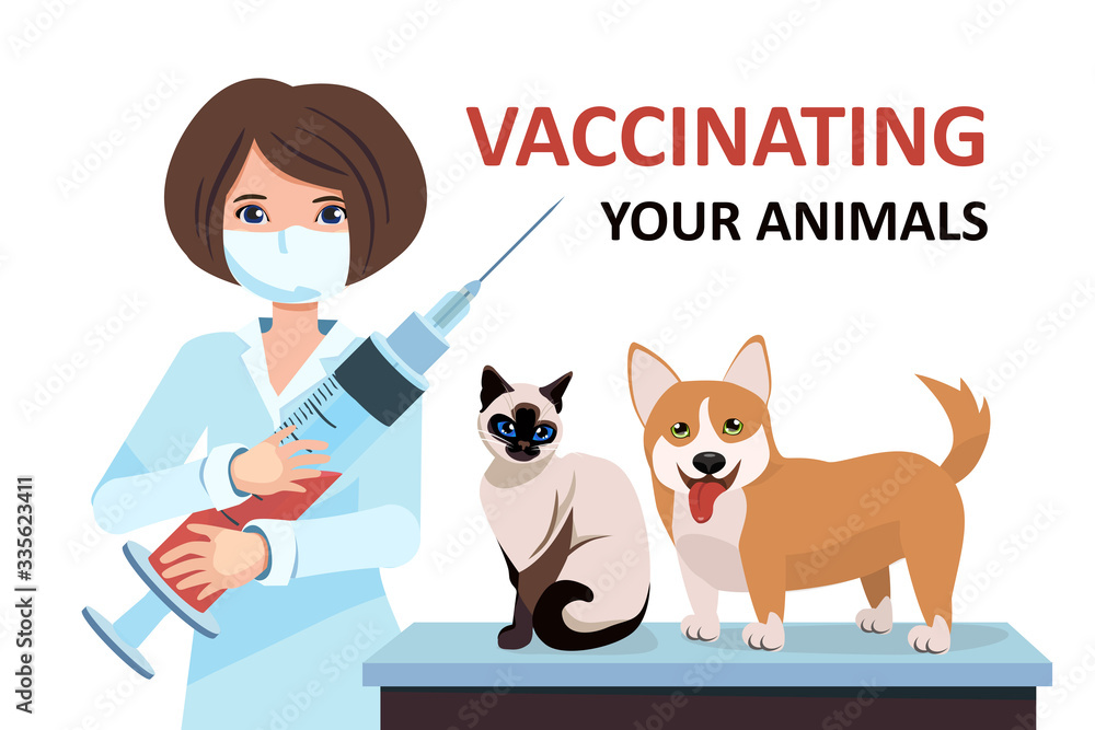 vaccination of animals. seasonal vaccination against rabies pets ...