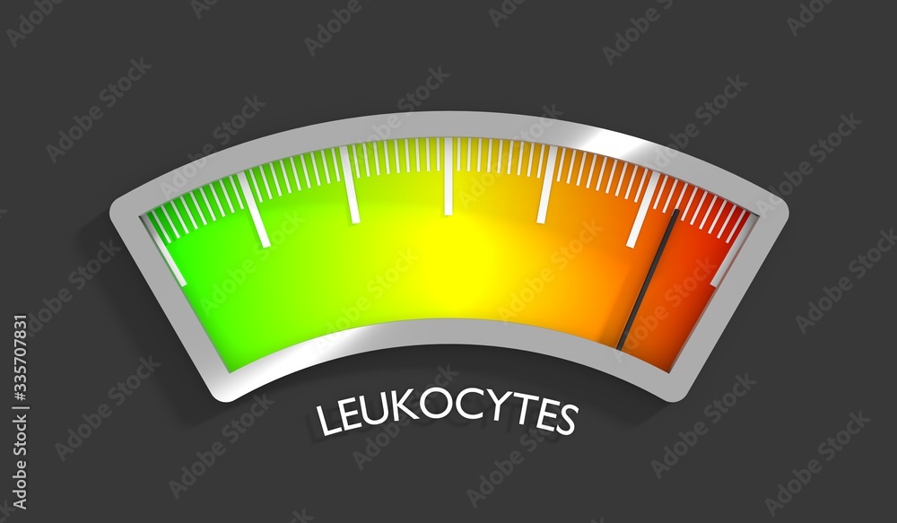 Leukocytes level scale with arrow. The measuring device icon. Sign ...