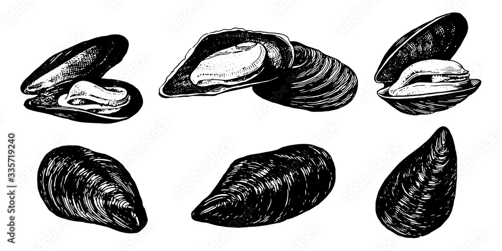 Mussels. Seafood, a set of templates for menu design, packaging ...