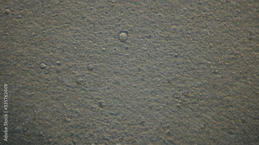 Baked milk under the microscope, the movement of fats, trace elements ...