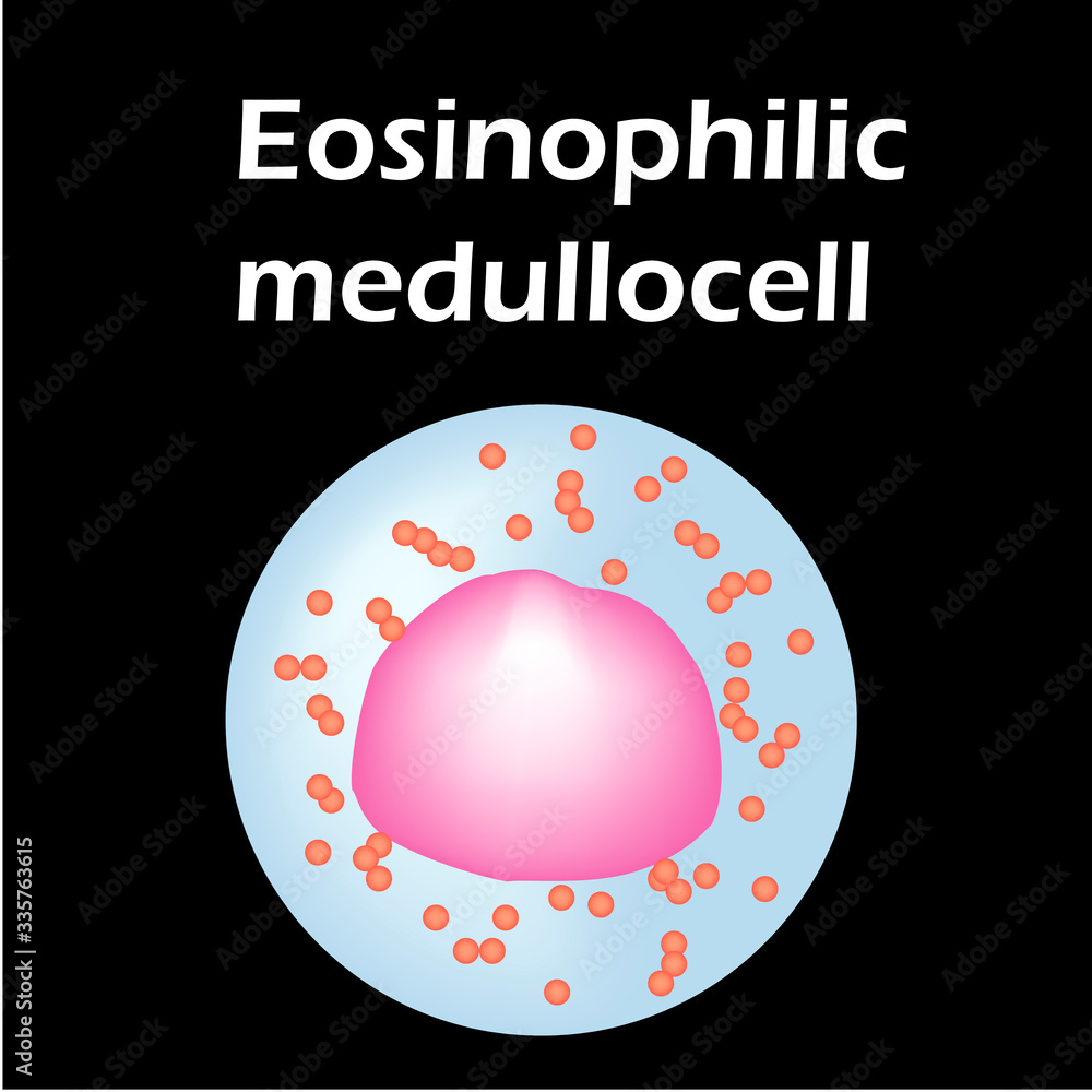 Eosinophil structure. Eosinophil blood cells. White blood cells ...