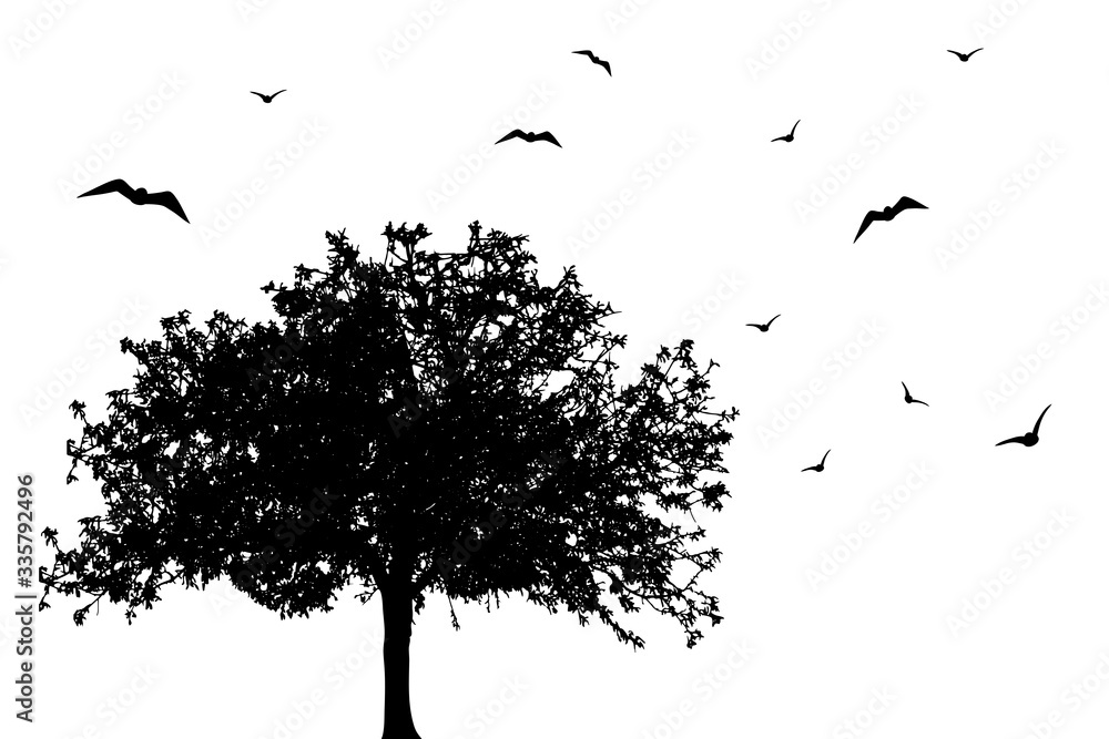Vector silhouette of tree with flying birds on white background. Symbol ...