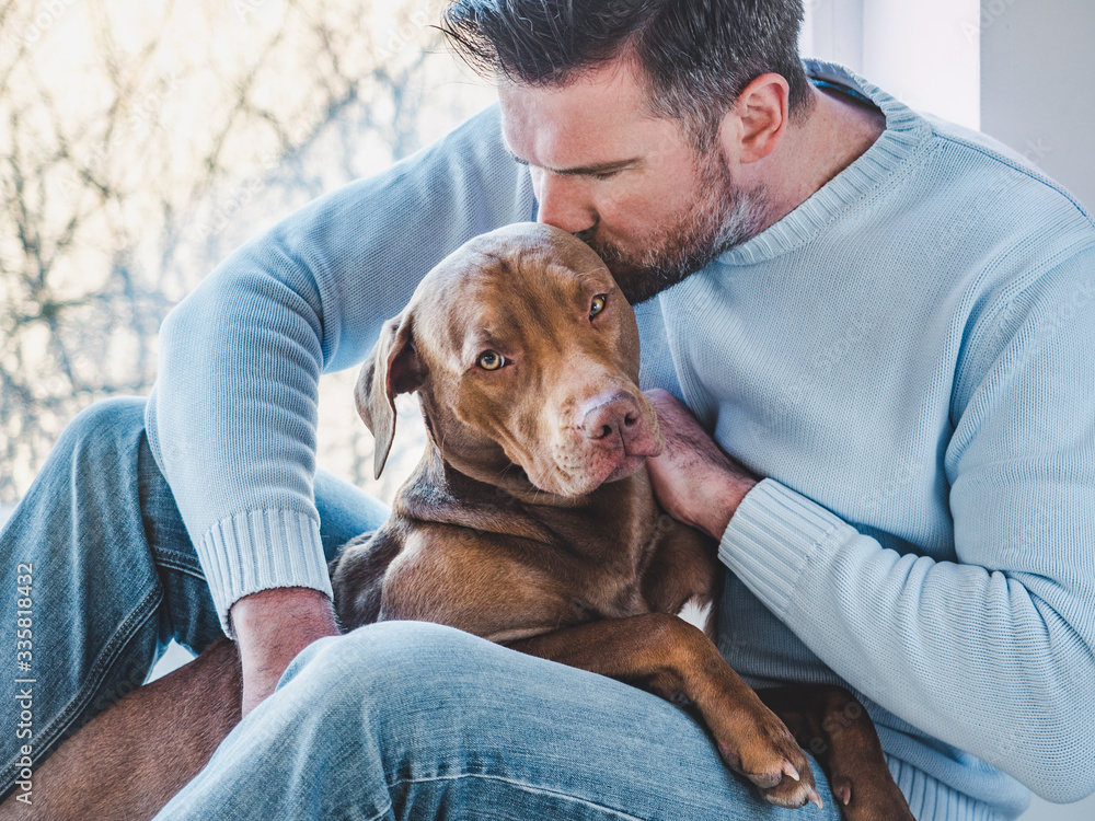 Handsome man and a charming puppy. Close-up, indoors. Studio photo ...