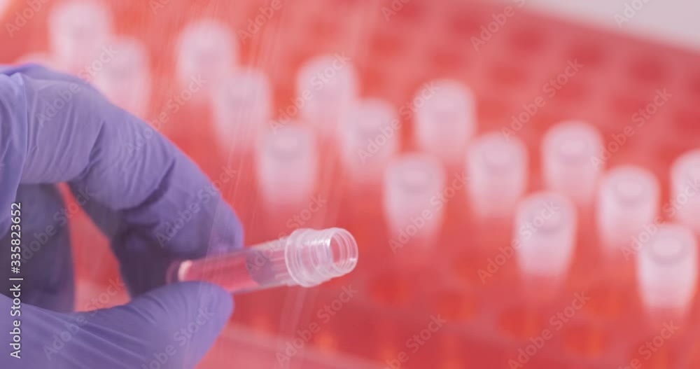 Laboratory test of a vaccine, drops of transparent substances from the ...
