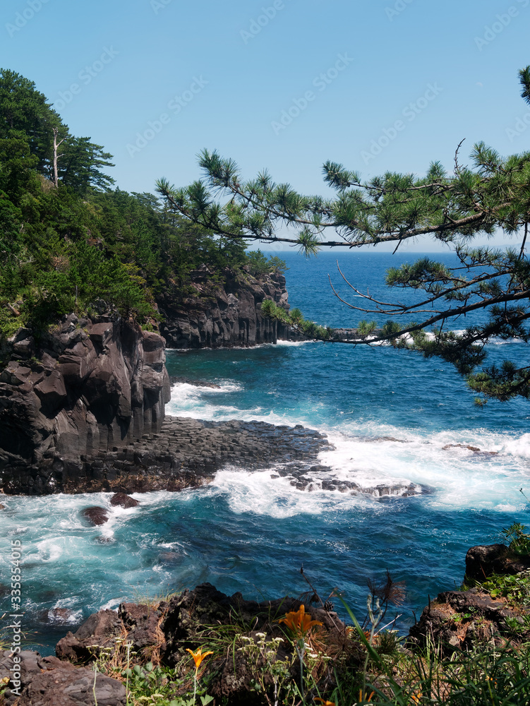 View of wild rocky cliffs with columnar joints and pine trees. Waves of ...