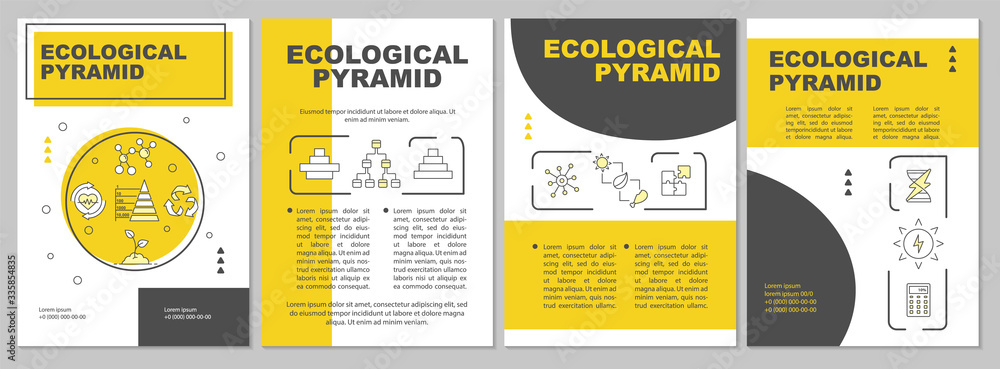 Trophic pyramid brochure template. Ecology, energy and biomass. Flyer ...