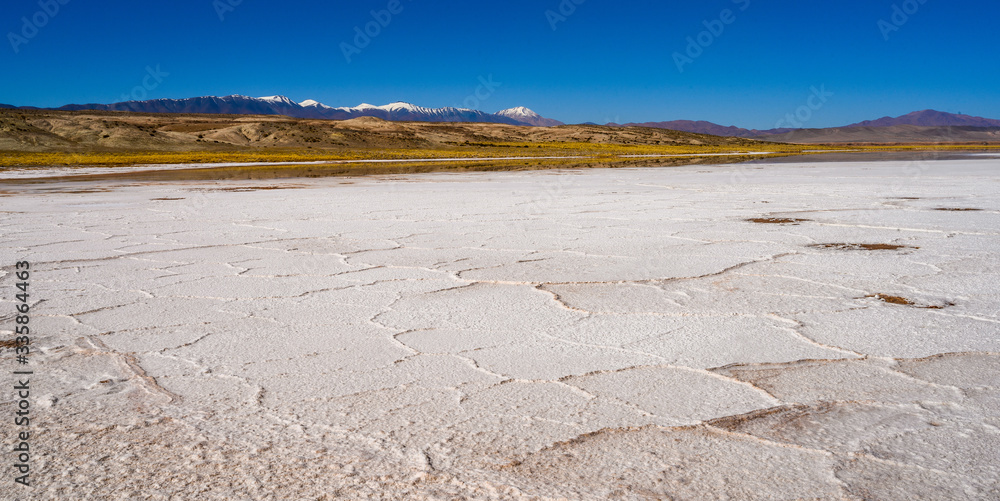 Salar de Pastos grande Stock Photo | Adobe Stock