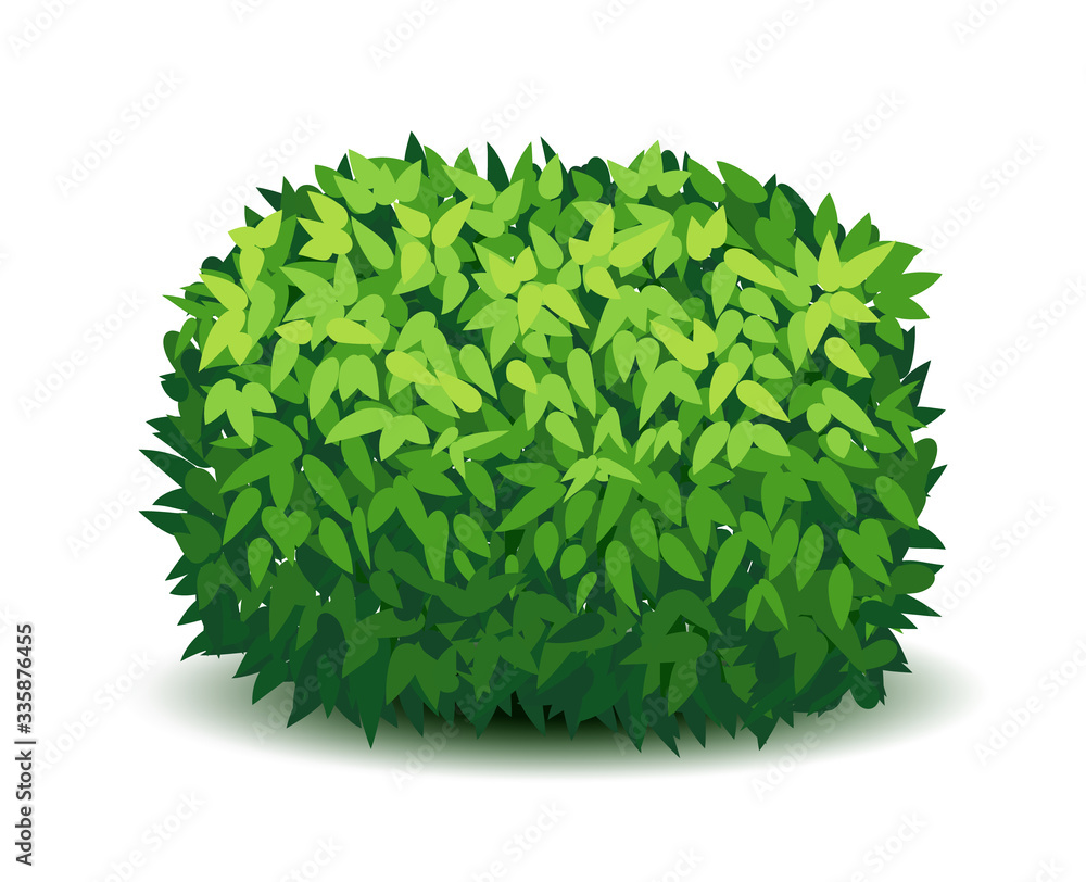 Cartoon Bush Plant