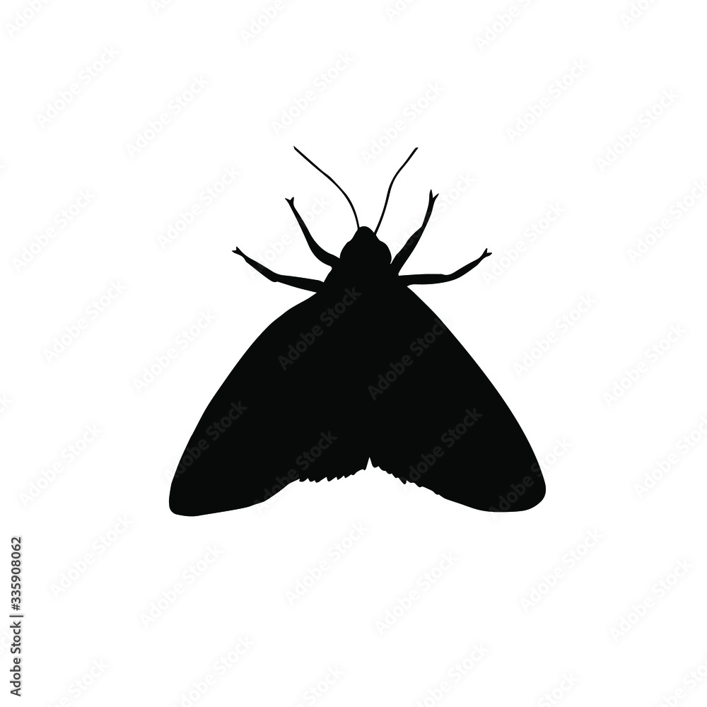 Vector black moth silhouette isolated on white background Stock Vector ...
