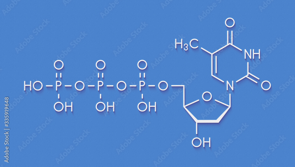 Deoxythymidine Triphosphate