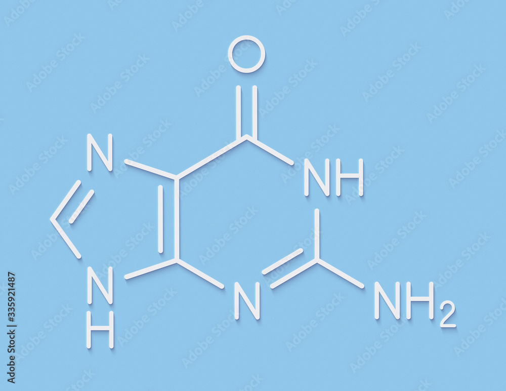 Guanine (G) purine nucleobase molecule. Base present in DNA and RNA ...