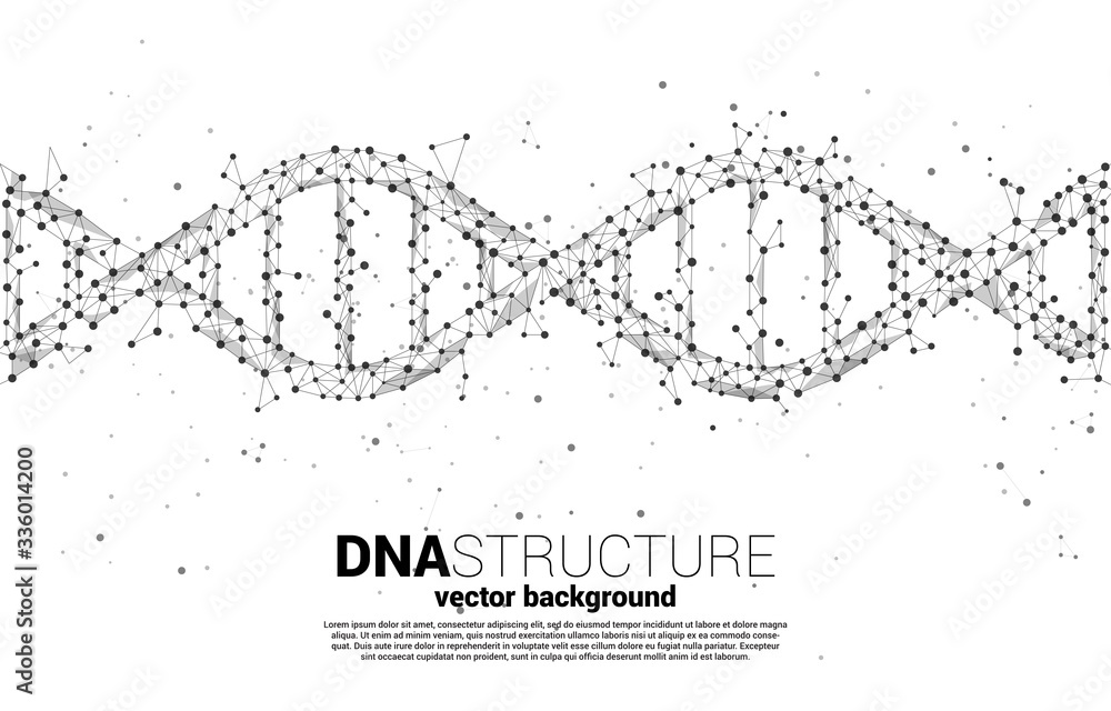 vector DNA genetic structure from dot connect line polygon. background ...