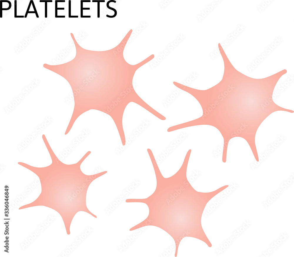 Set of Platelet cells. Thrombocytes. Vector illustration Stock Vector ...