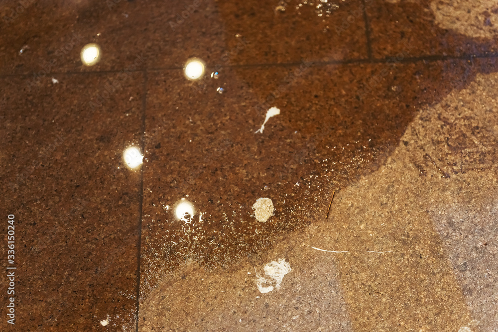 Bird droppings on granite tiles. Bird Poo on the streets of the city ...