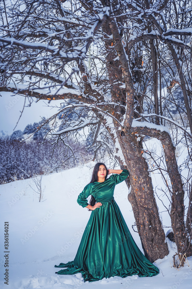 A girl in fabulous long green dress in the snow-covered mountains. A ...