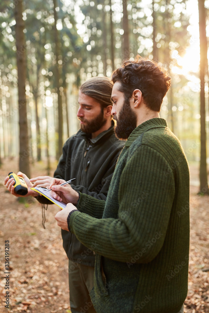 Foresters measure and record the tree height Stock Photo | Adobe Stock