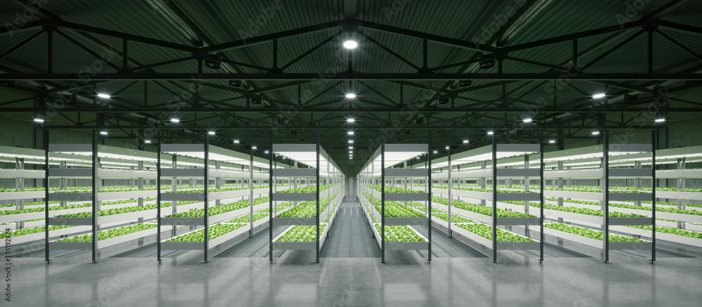 Indoor hydroponic vegetable plant factory in exhibition space warehouse ...