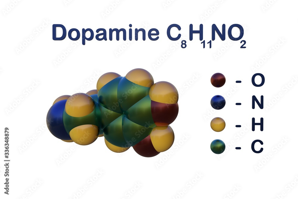 Structural chemical formula and molecular model of dopamine, also known ...