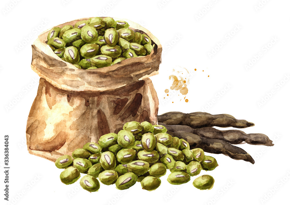 Raw mung beans in a paper bag and dry pods. Hand drawn watercolor ...