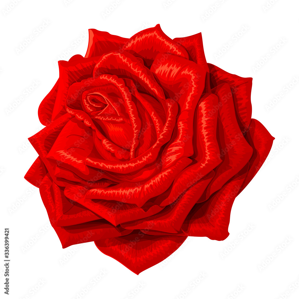 vector rose flower clip art on white isolated background Stock Vector ...
