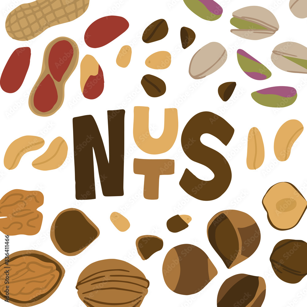 play on words illustration with cute lettering. NUTS Cute vector hand ...