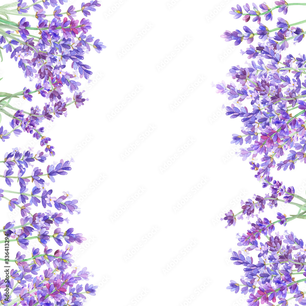 Lavender background, frame, watercolor hand drawing. Design artwork for ...