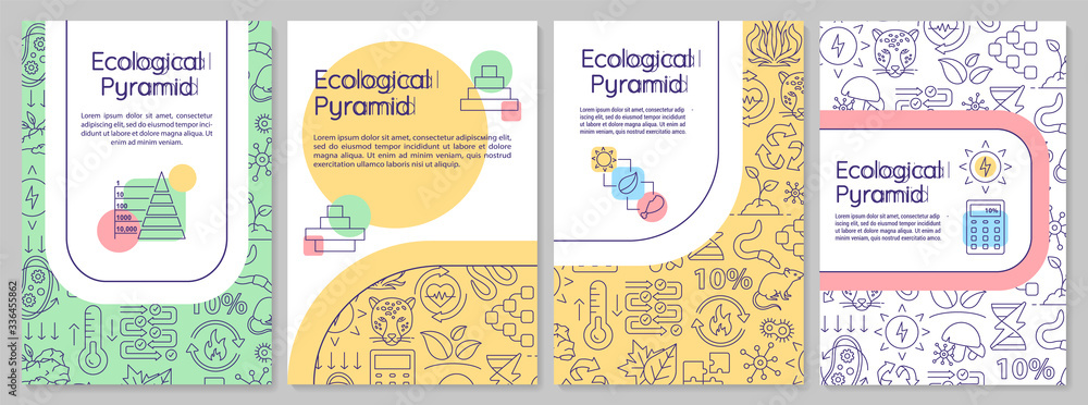 Ecological pyramid brochure template. Energy and biomass levels. Flyer ...