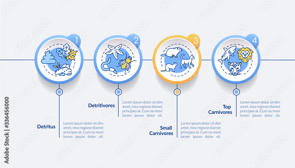 Detritus food chain vector infographic template. Detritivores and ...