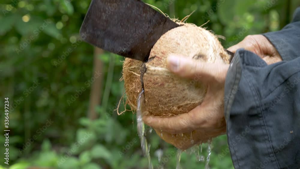 Open Coconut by knock coconut shell until splitting into two parts and ...
