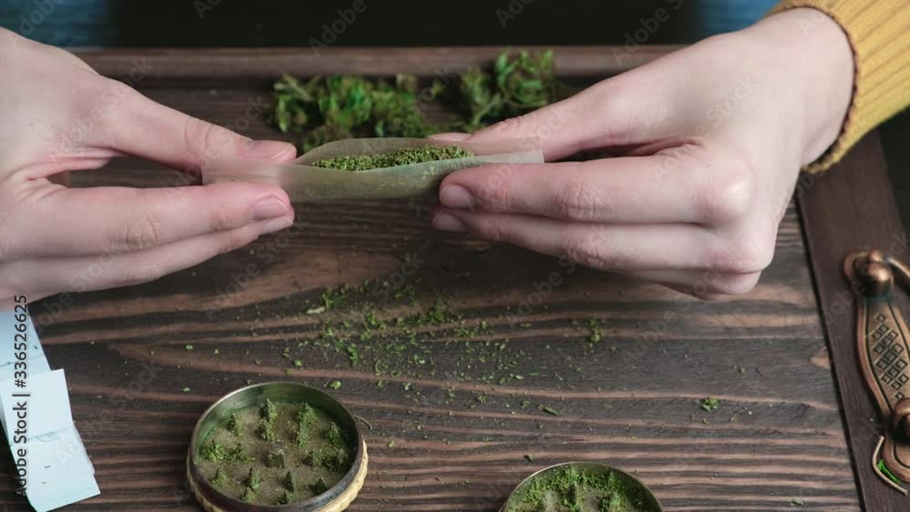 Vidéo Stock Woman rolling a joint closeup. Female hands rolling spliff ...