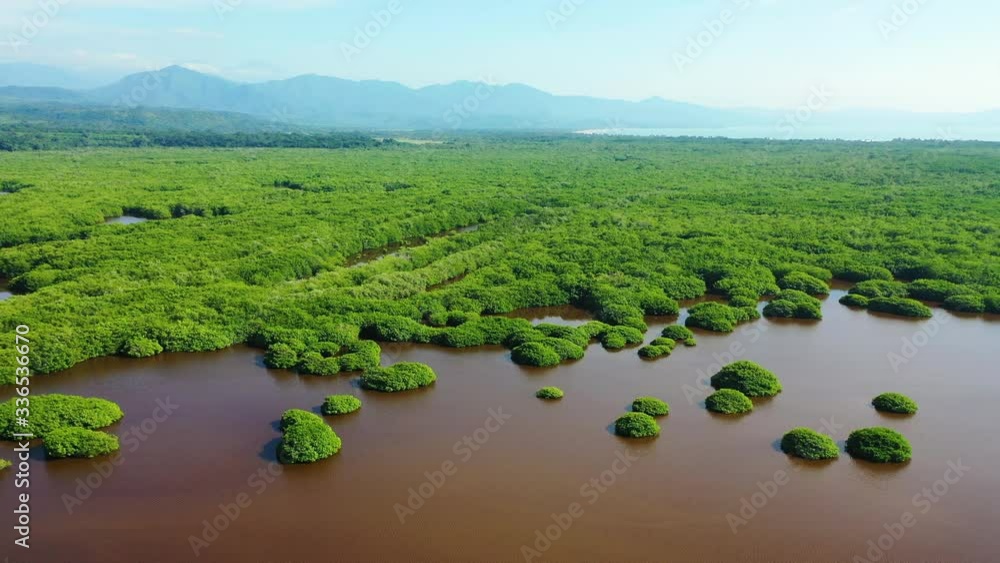 Mangrove, La Tovara National Park, Ramsar Site, Wetlands of ...