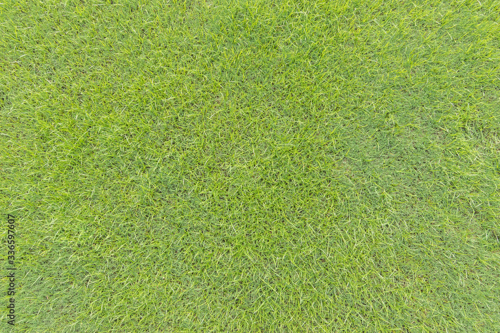 Green grass lawn texture background from top view for golf course turf ...