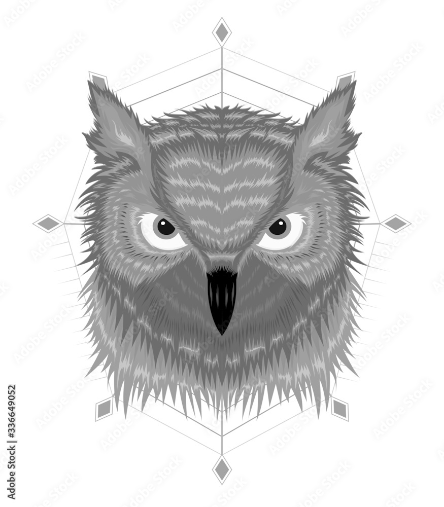 Owl Face Illustration