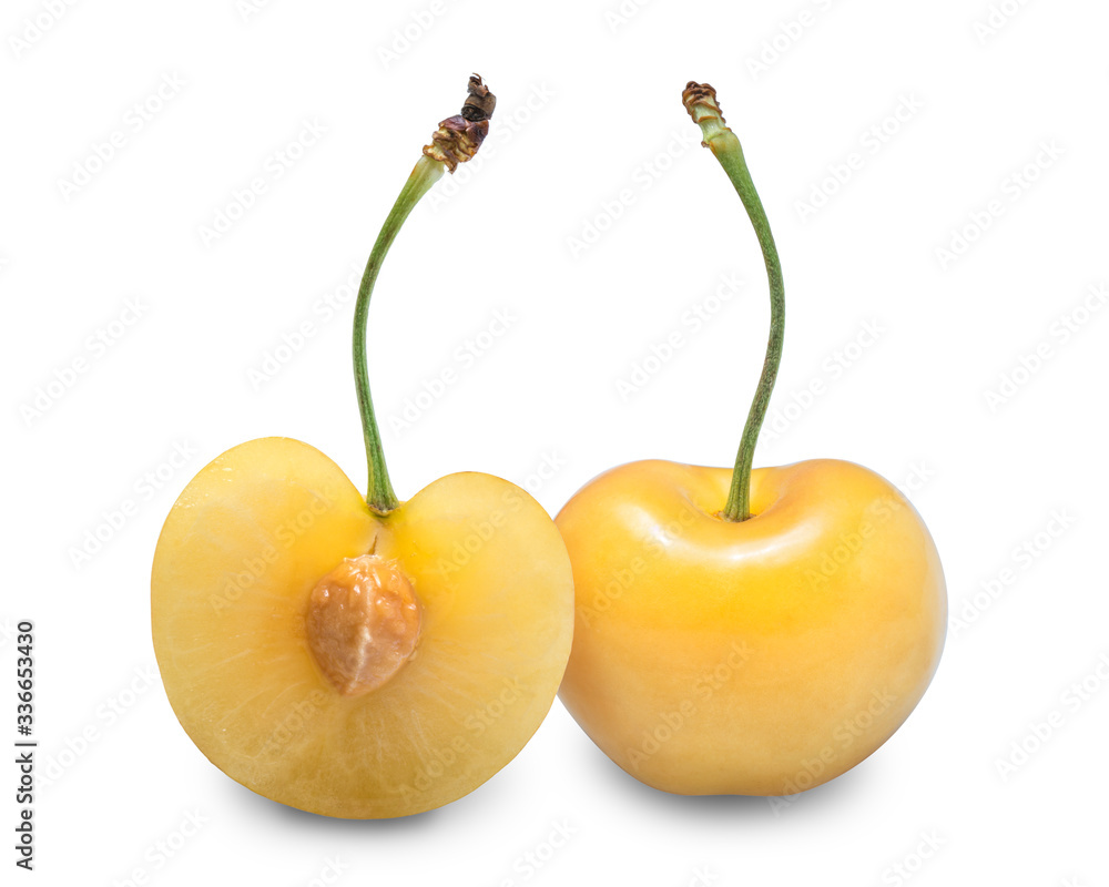 Cherry isolated on white background, Sweet Yellow cherries isolated on ...
