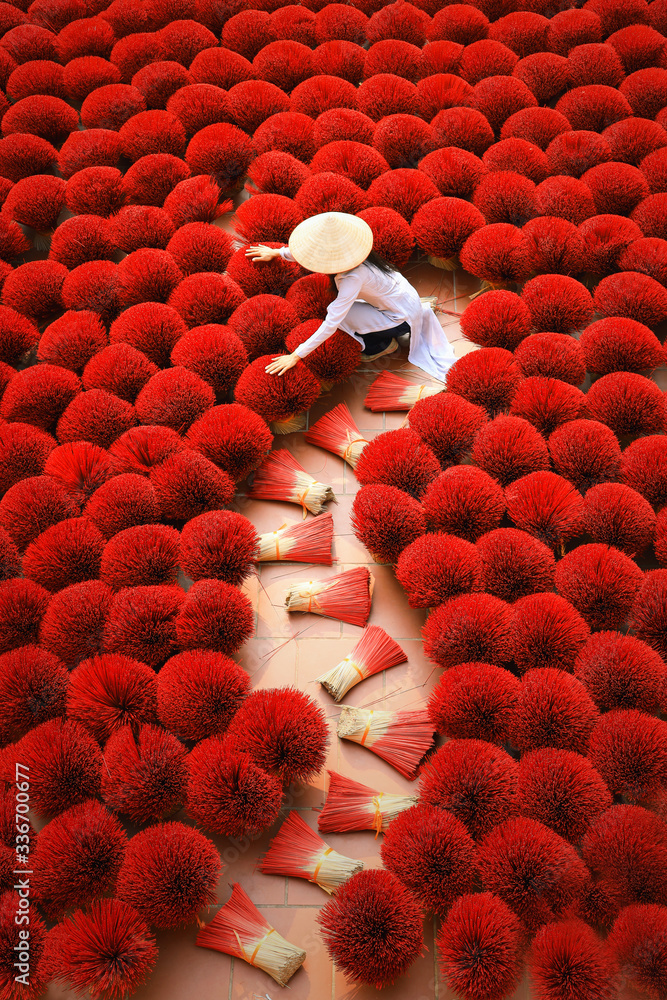 Incense sticks drying outdoor with Vietnamese woman wearing conical hat ...