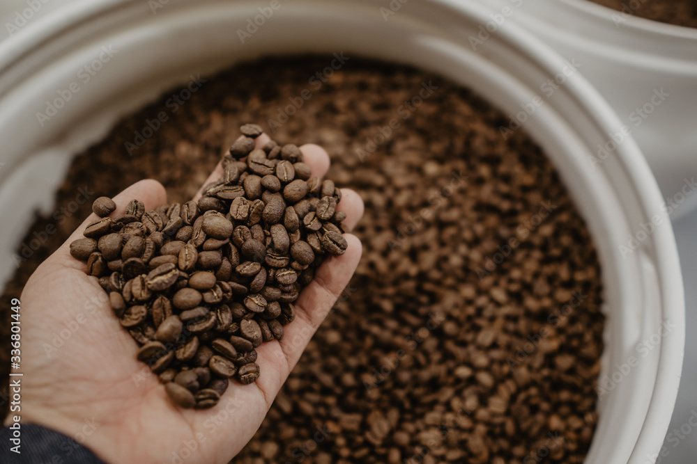 Foto de control de calidad, mano comprobando café de un barril lleno de ...