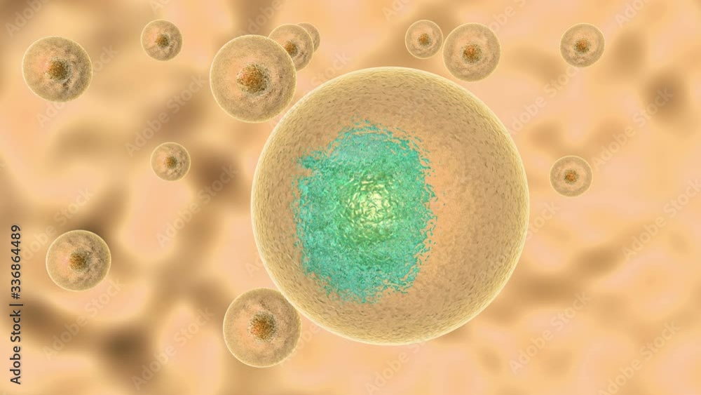 Stockvideo 3D animation of process infecting living cell with ...