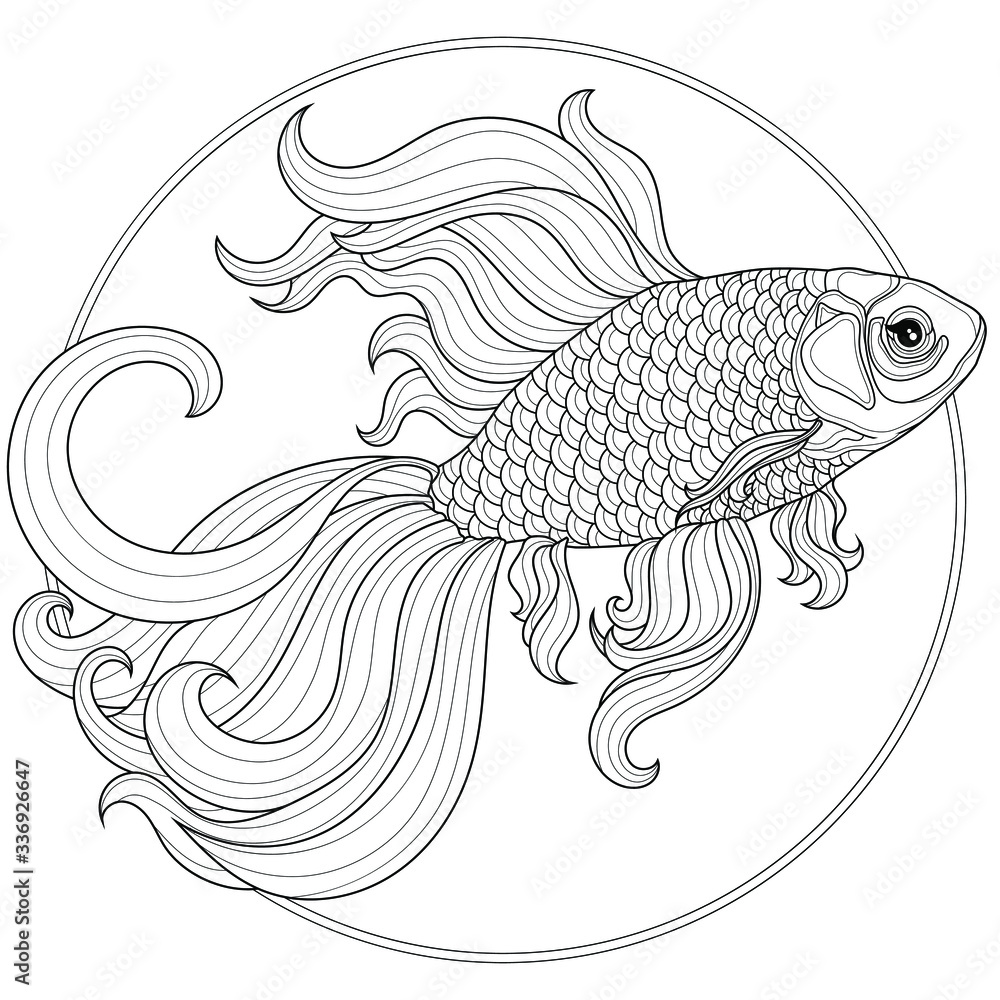 Gold fish.Coloring book antistress for children and adults ...