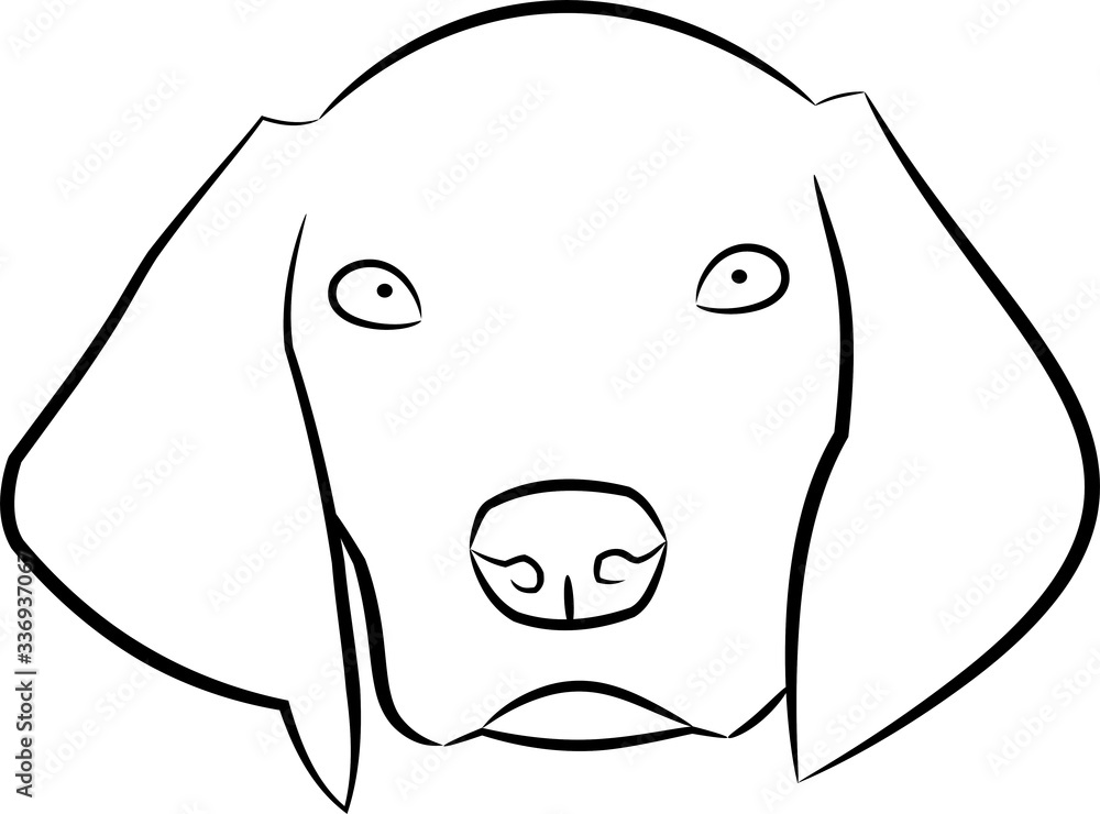 Dog head on transparent background Stock Vector | Adobe Stock