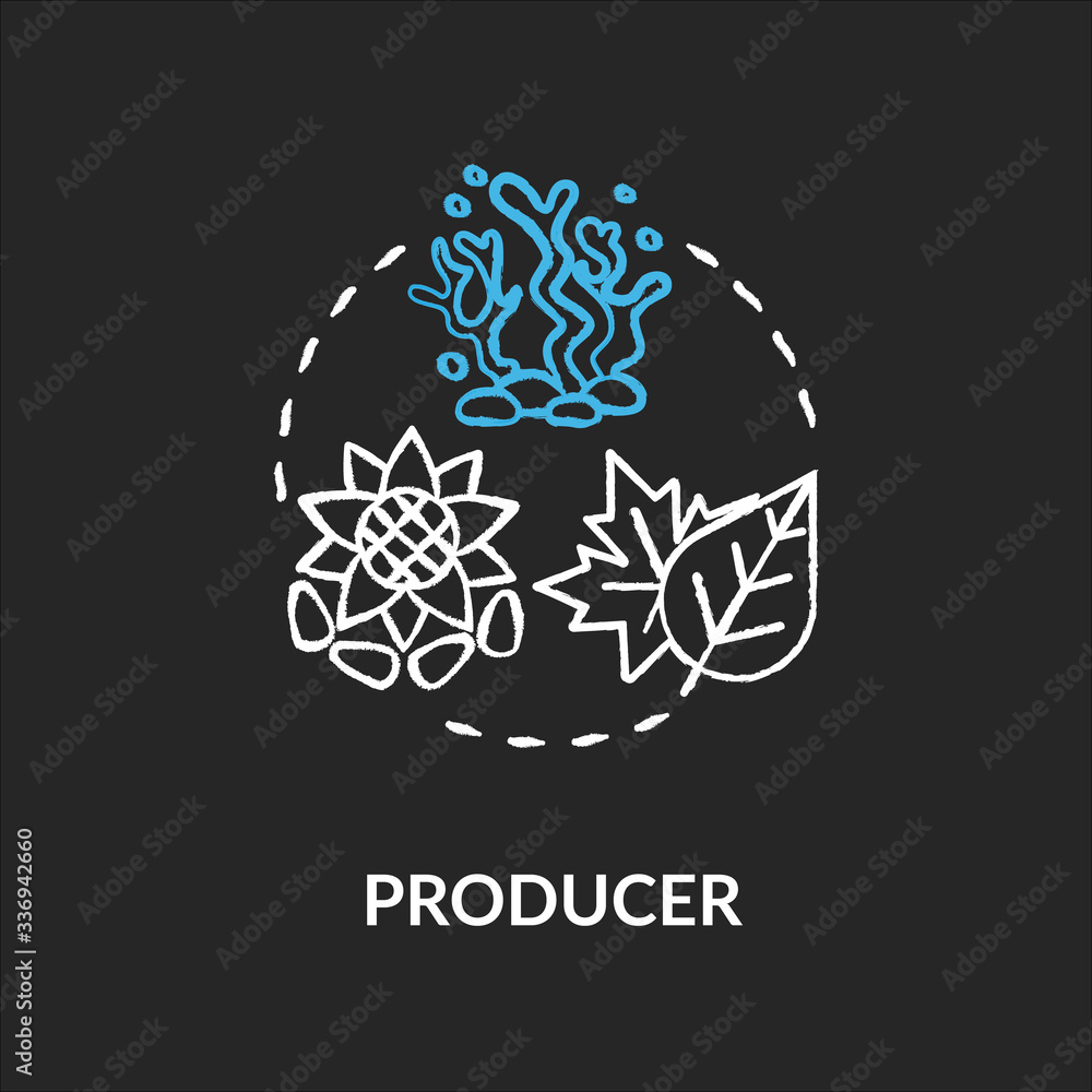 Producers chalk RGB color concept icon. Biological food chain energy ...