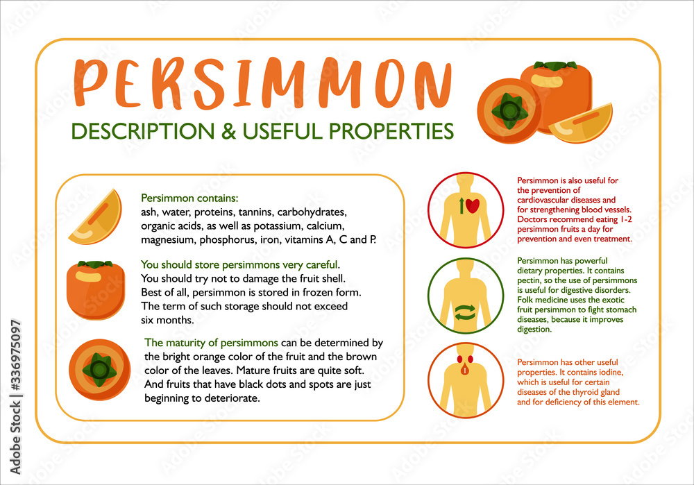 Persimmon on infographics style. Useful graphic information about this ...